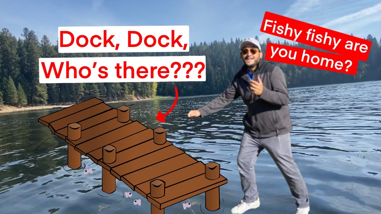 Bassin Fishing Journey to lure out those Fall dock BASS! 20 docks ...