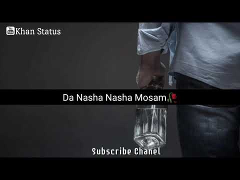 Pashto song saqi