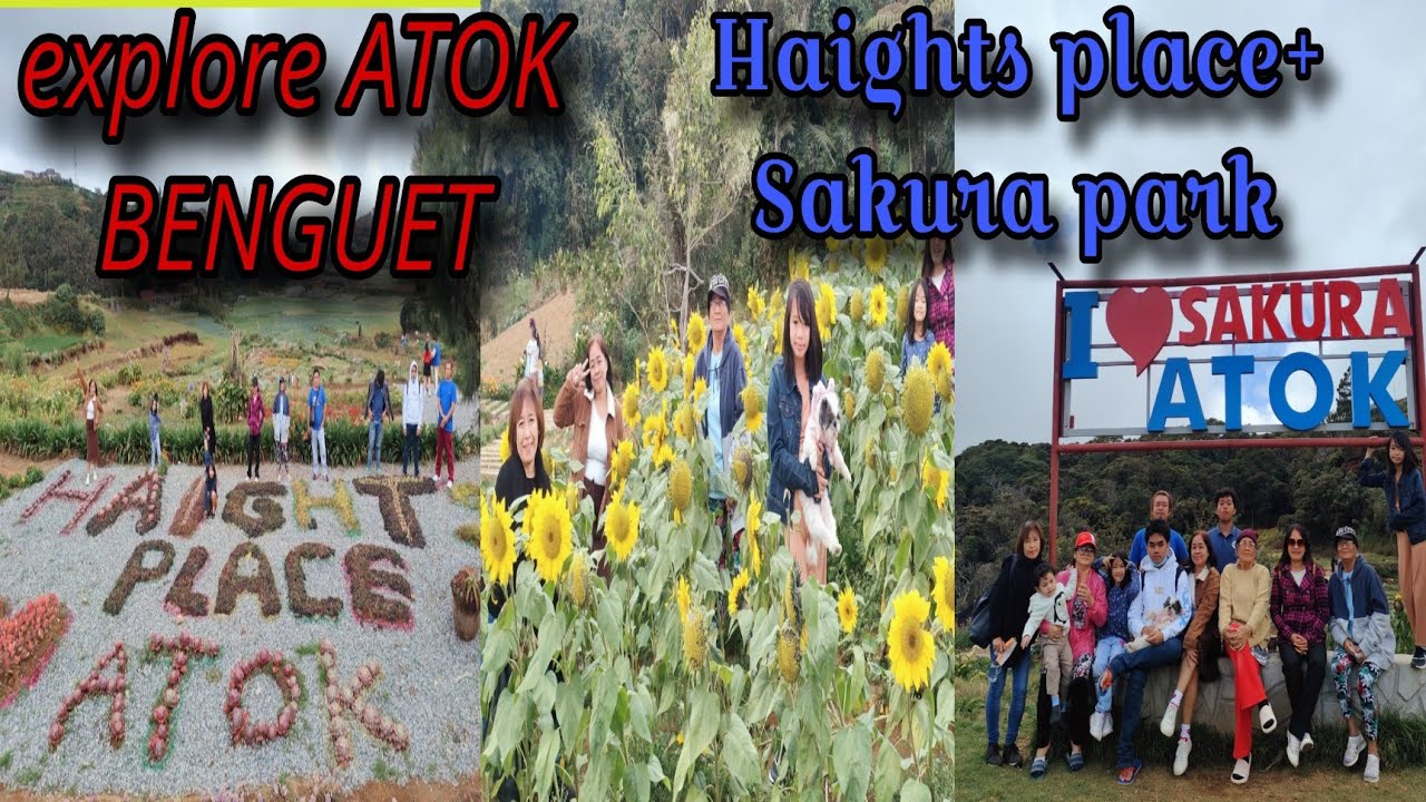 EXPLORE ATOK BENGUET| HAIGHTS PLACE + SAKURA PARK & HIGHEST POINT - YouTube