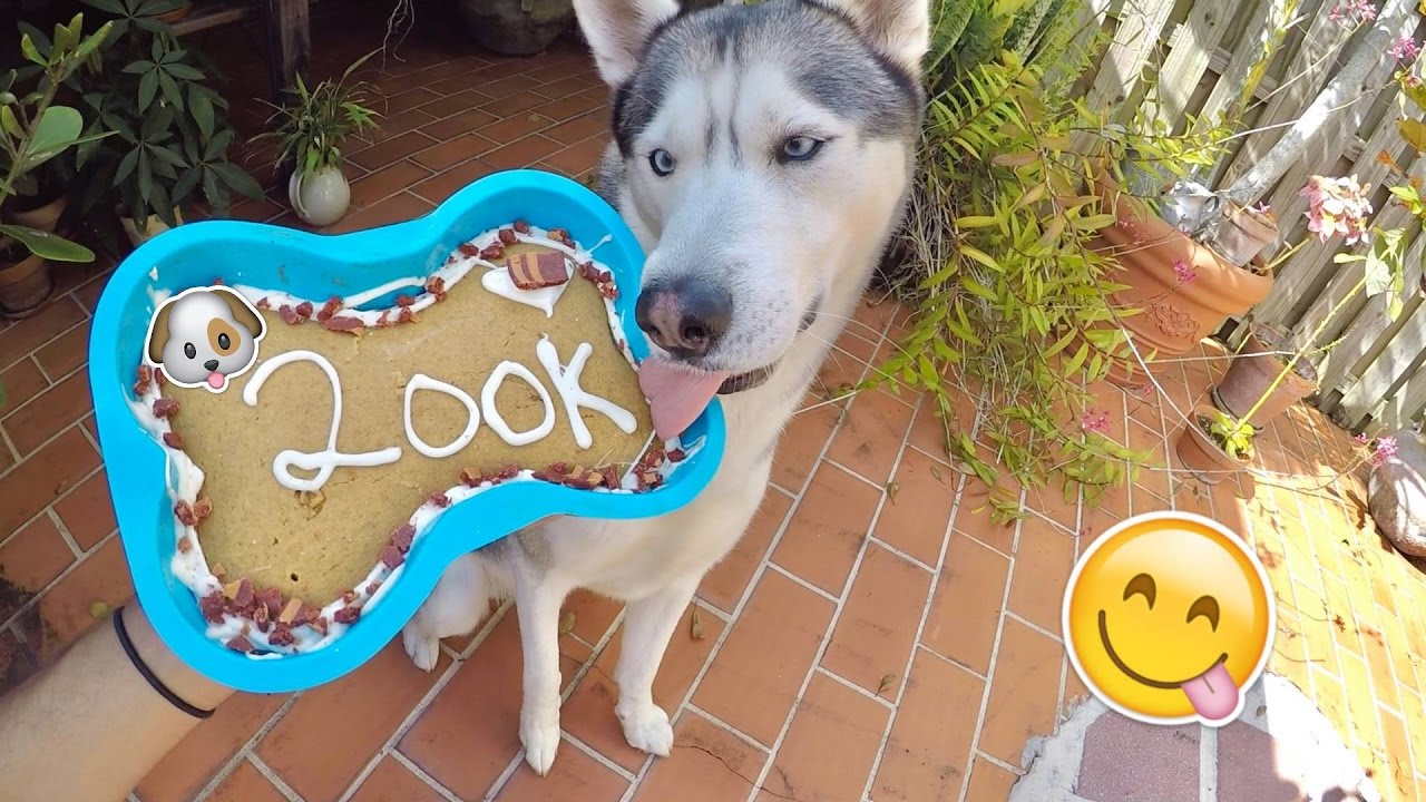 Baking a Dog Cake for Gohan! | 200,000 SUBSCRIBERS DOG CAKE! - YouTube