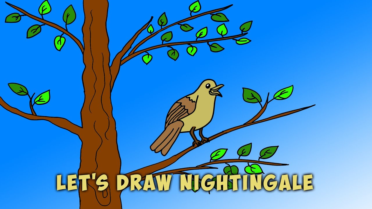 How to draw a Nightingale | Giggle n Giggles | GNGGS - YouTube