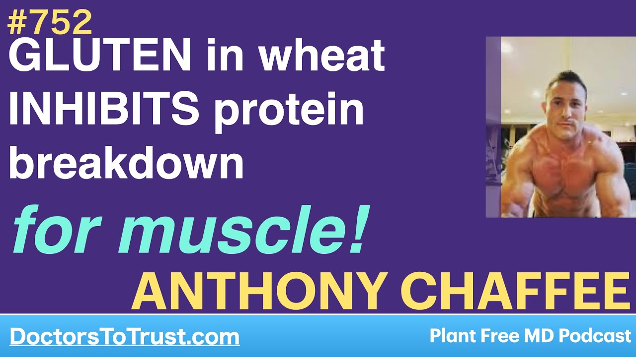 ANTHONY CHAFFEE 10 | GLUTEN in wheat INHIBITS protein breakdown for ...