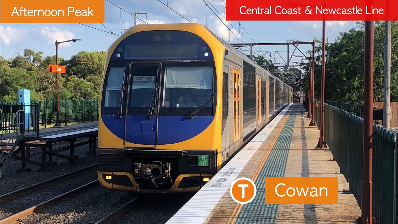 Transport for Sydney Vlog 236: Cowan - Afternoon Peak - YouTube