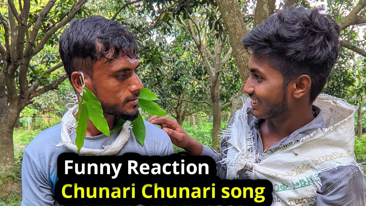 Chunari Chunari Hindi Song Funny Reaction | Public Ltd. - YouTube