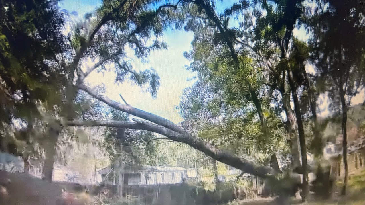 Bakers Tree Service LLC - YouTube