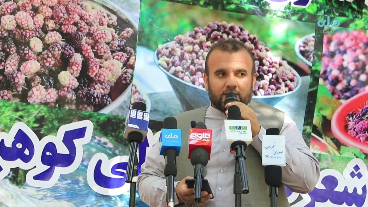 راپورتاژه زبان پشه یی از میله توت در ولسوالی کوهبند ولایت کاپیسا - YouTube