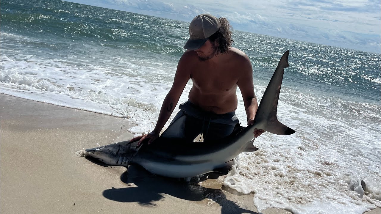 Shark fishing assateague island - YouTube