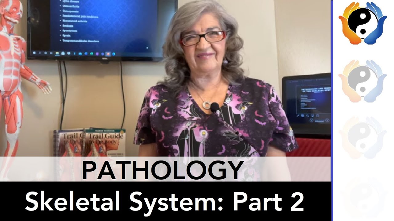 Skeletal System Pathologies: Part 2 - YouTube