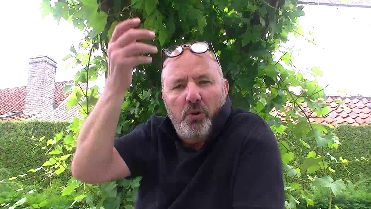 C E N C Romer-Taylor model - YouTube