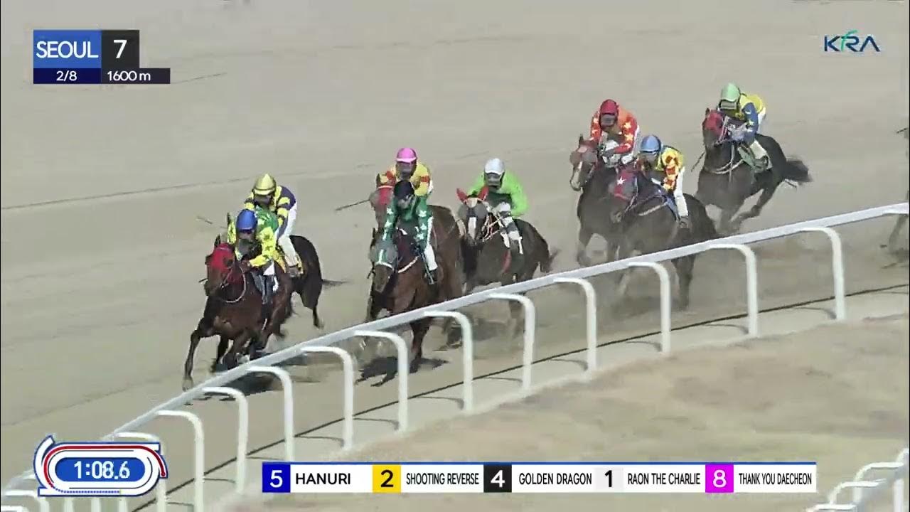 (Seoul) 2025.02.08 R7 Class 4 (1600M) Handicap - YouTube