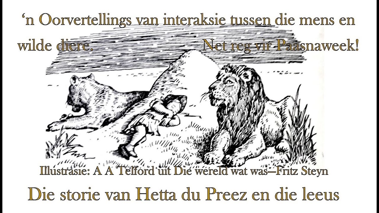 Hetta du Preez en die leeus - YouTube