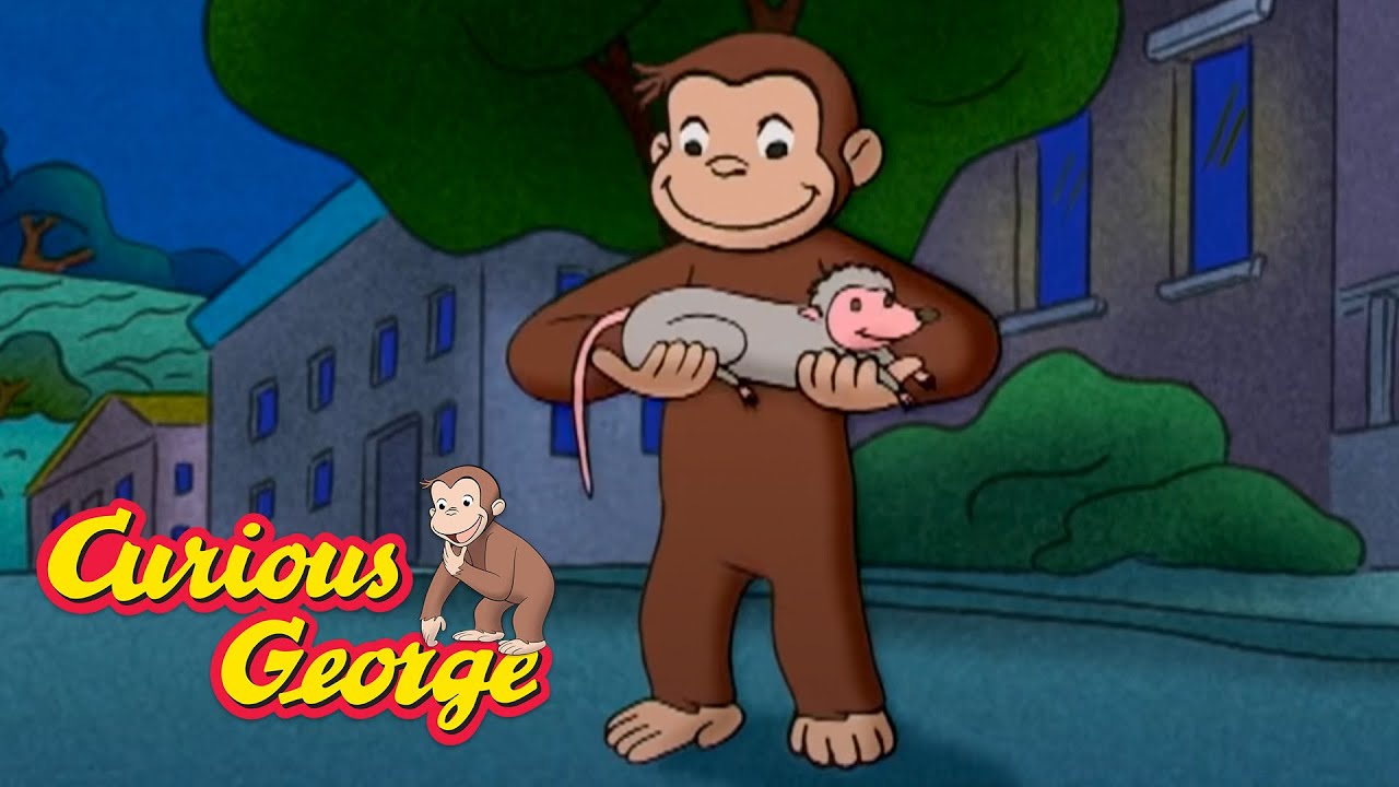 George Meets Nighttime Animals __ Curious George __ Kids Cartoon ...