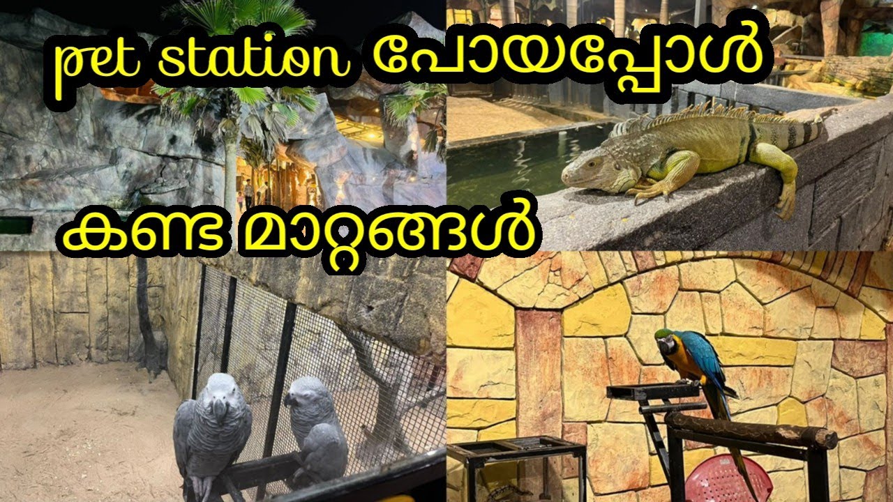 Kannur, Maatool | pet station new trending | travelvlog | @ziyaworld ...