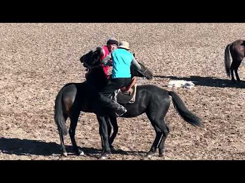 Kok Boru #1 in Kyrgyz