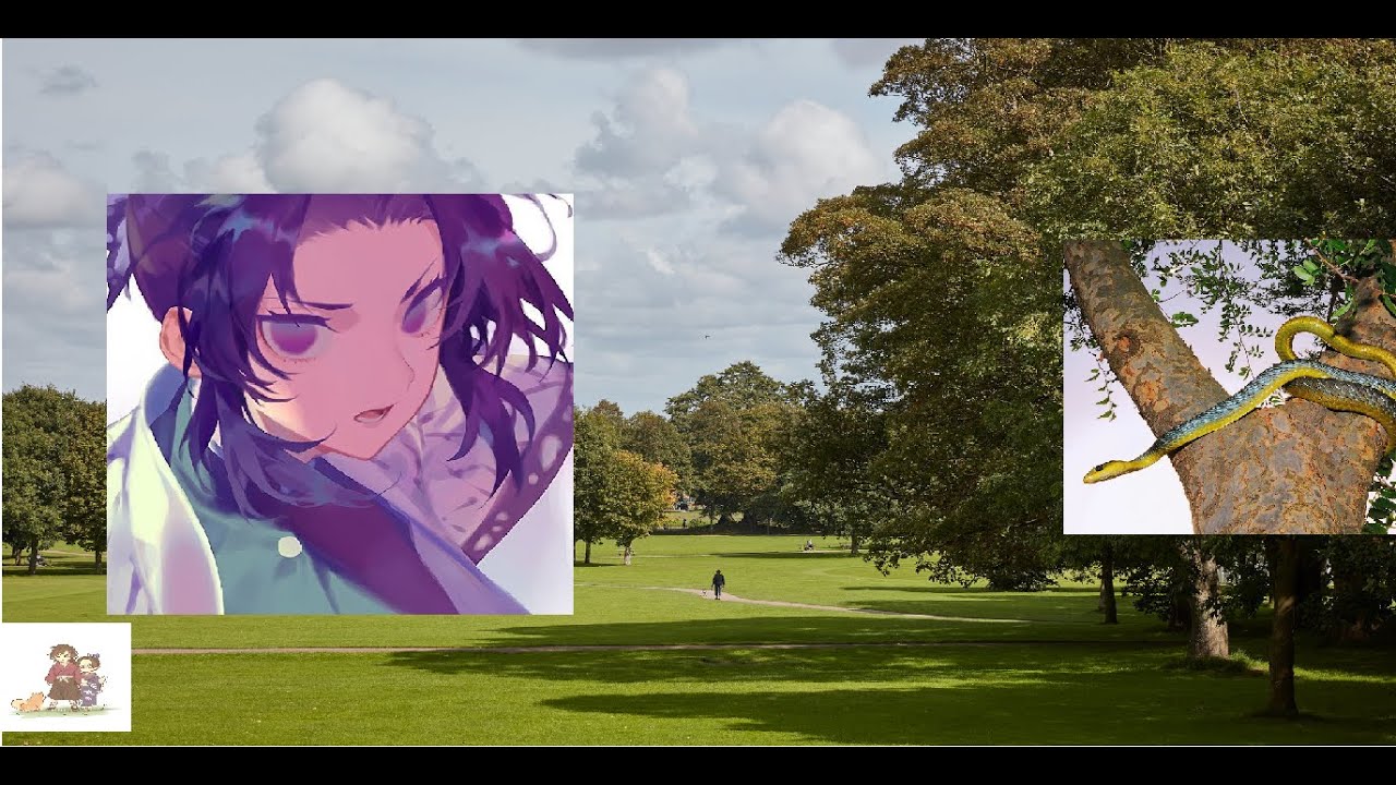 DSRPG2 New Insect VS Snake? - YouTube