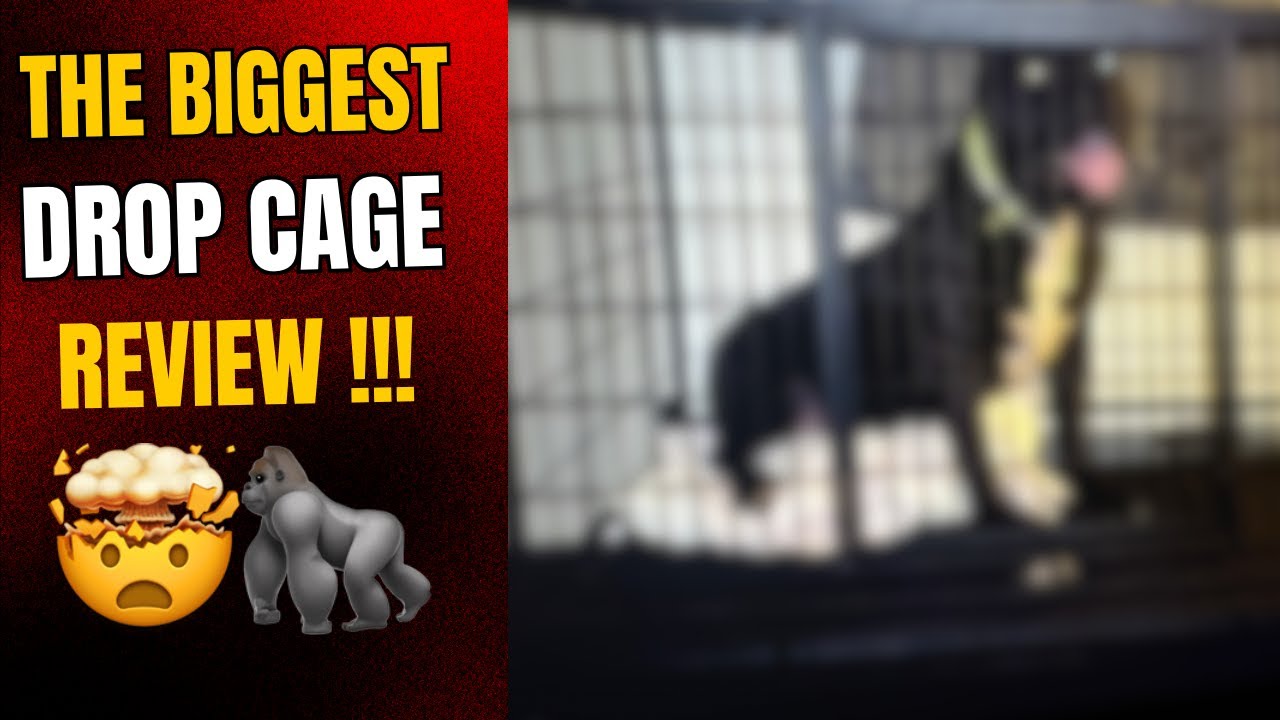 NEW DROP CAGE 👀 WAS IT WORTH IT ??? #xlamericanbully #dogcage #vlog ...