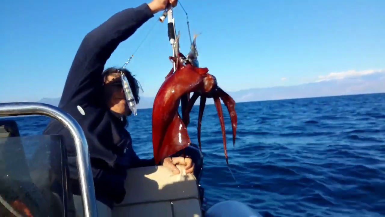 FISHING🇬🇷 SQUID !! ΚΟΡΙΝΘΙΑΚΟΣ ΘΡΑΨΑΛΟ ΚΥΝΗΓΟΣ ΨΑΡΕΜΑ ΘΡΑΨΑΛΑ ΜΕ ΒΑΘΕΙΑ ...