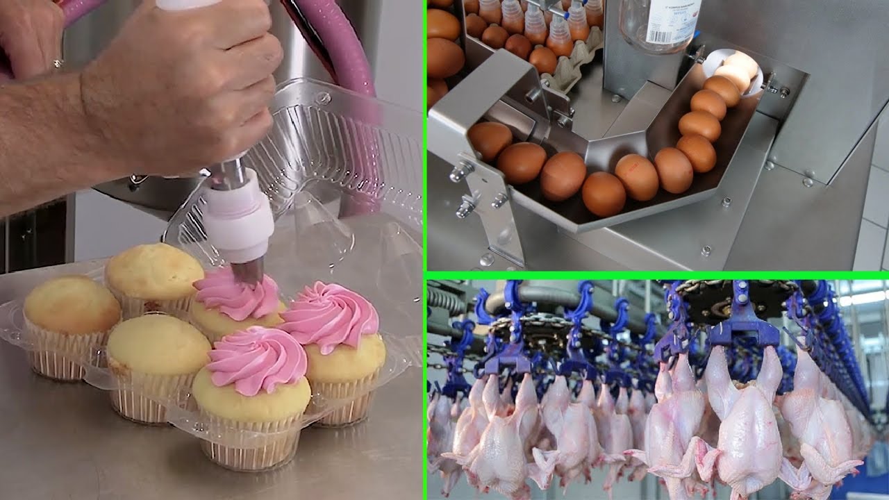 Amazing Food Factory machines That Are At Another Level | Food ...