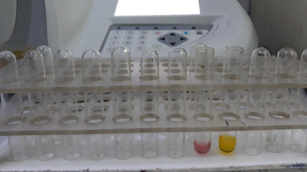 S.GPT Test - YouTube