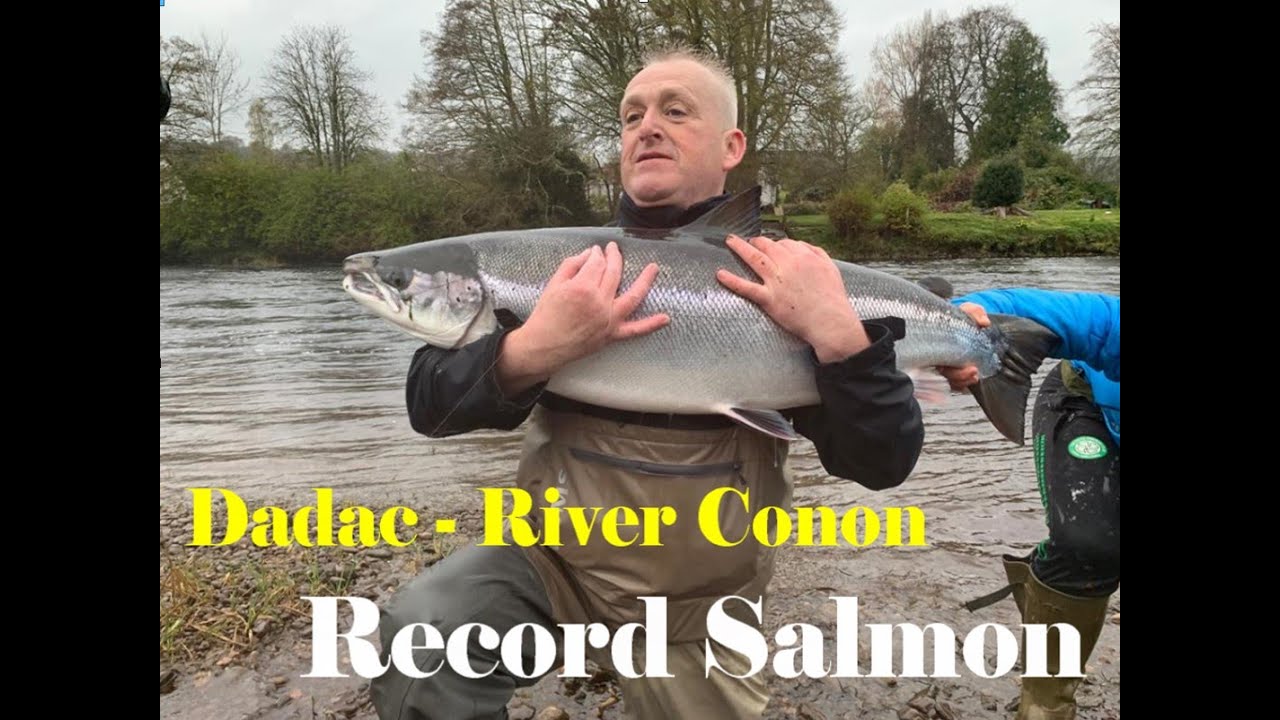 SALMON FISHING | River Conon | Club record salmon | MUST WATCH !! - YouTube