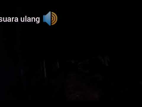 merinding suara kuntilanak asli 2021
