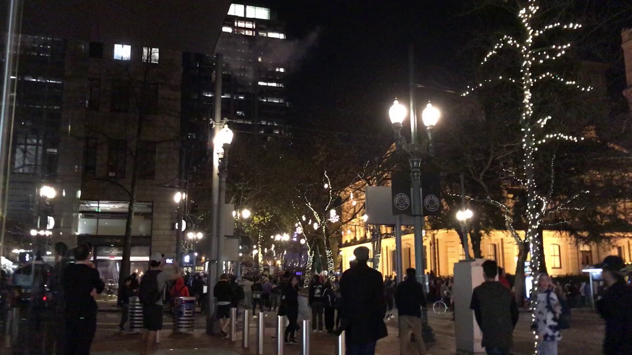 Portland anti-Trump protest turns to anarchist chaos as night continues ...
