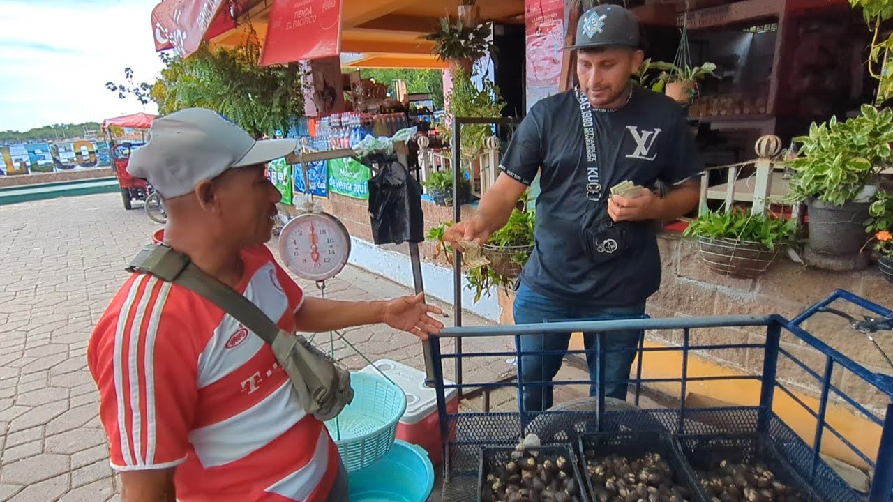 comprando conchas o curiles mira cuánto valen en el puerto el triunfo ...
