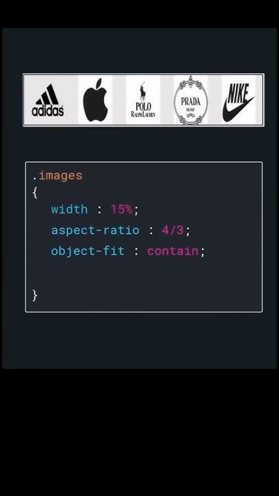 Adjust Logo using css #css #webdesign #cssdesign #csshtml - YouTube
