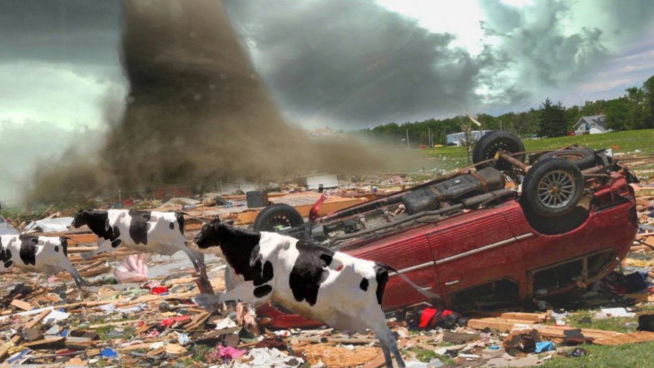 Powerful tornado hits Taiwan, overturning cars and lifting cows into the air - YouTube
