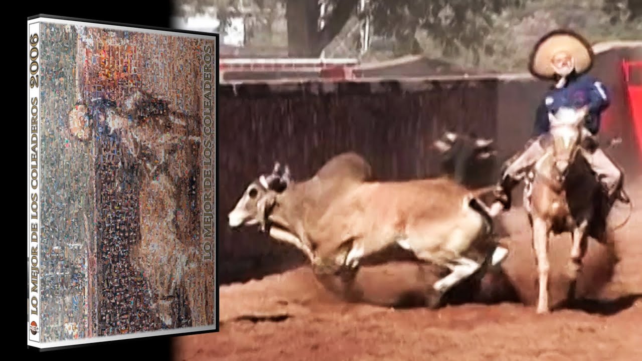 PELICULA 2006 | Lo Mejor de los COLEADEROS | COMPLETA - YouTube