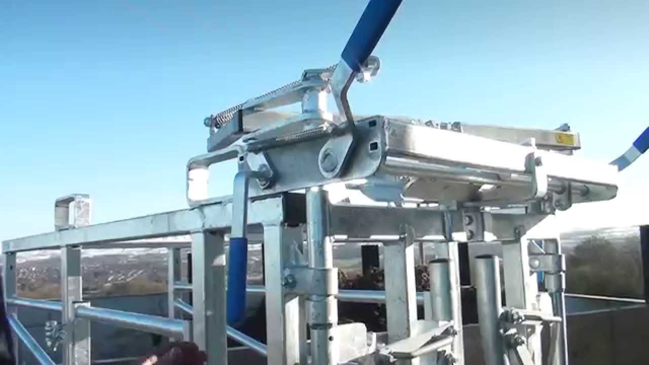 IAE Saracen Rotating Rump Bar Cattle Crush - YouTube