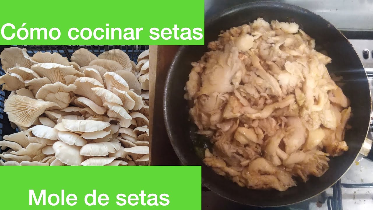 ¿Cómo cocinar setas? Mole rápido. - YouTube