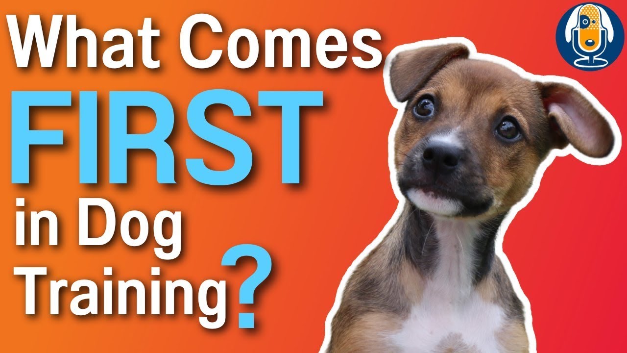 Dog Training With Layered Shaping: Why Classical Conditioning Must Come ...