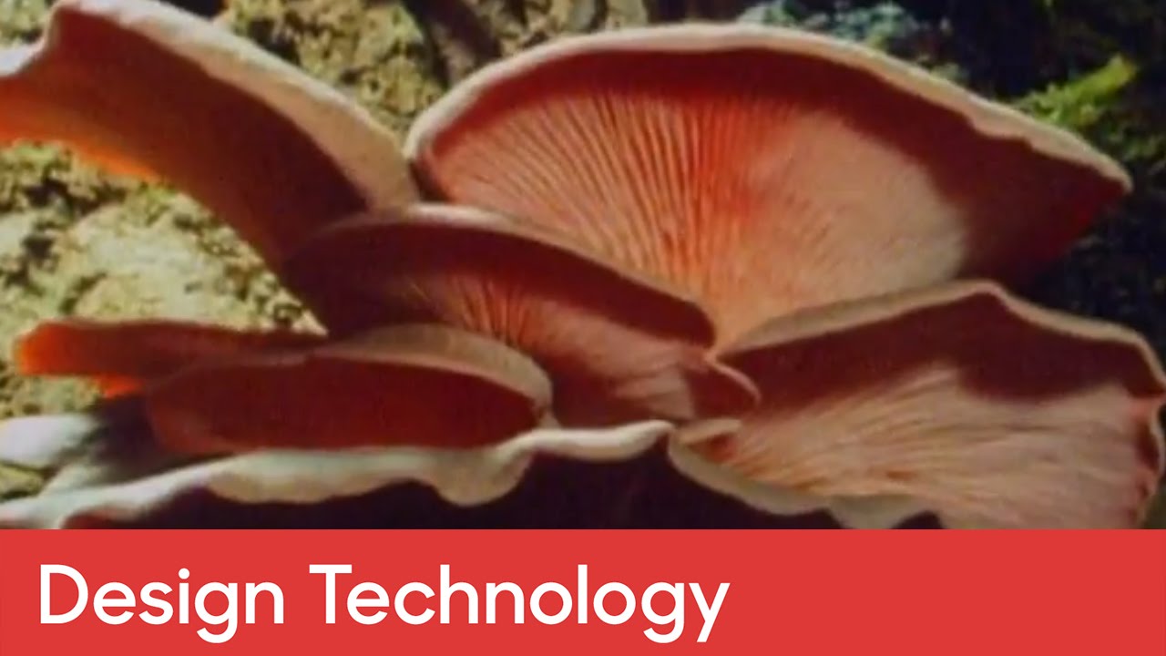 Biotech: Growing clothes in a lab | Design and Technology - Biomimetics ...