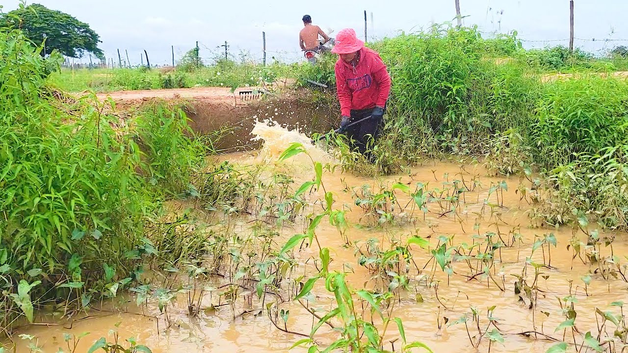 Culvert Drain Clogged with Debris? Here’s the Fix - YouTube