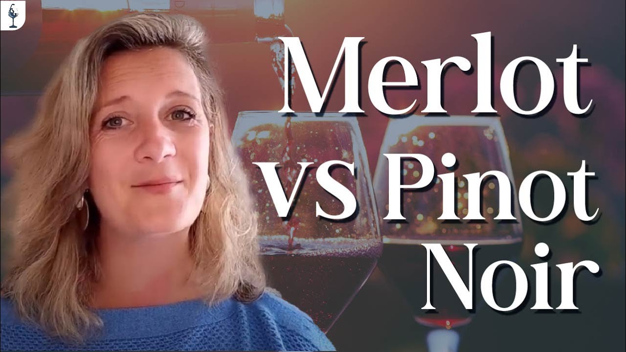 Merlot vs Pinot Noir: The History, The Wines, My Top Picks - YouTube