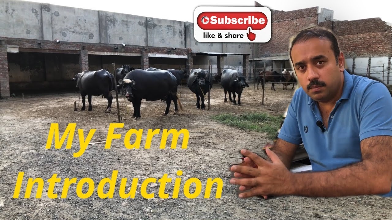 My Farm Introduction - YouTube