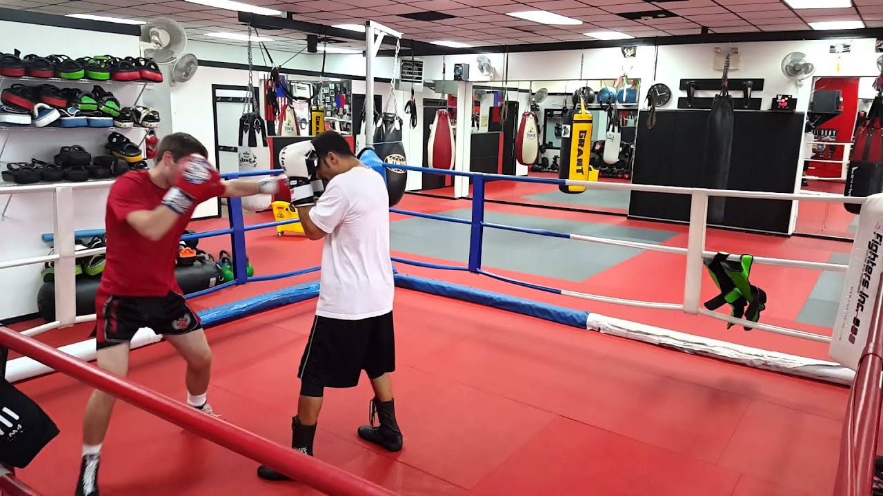 Anthony Shell Defense - YouTube