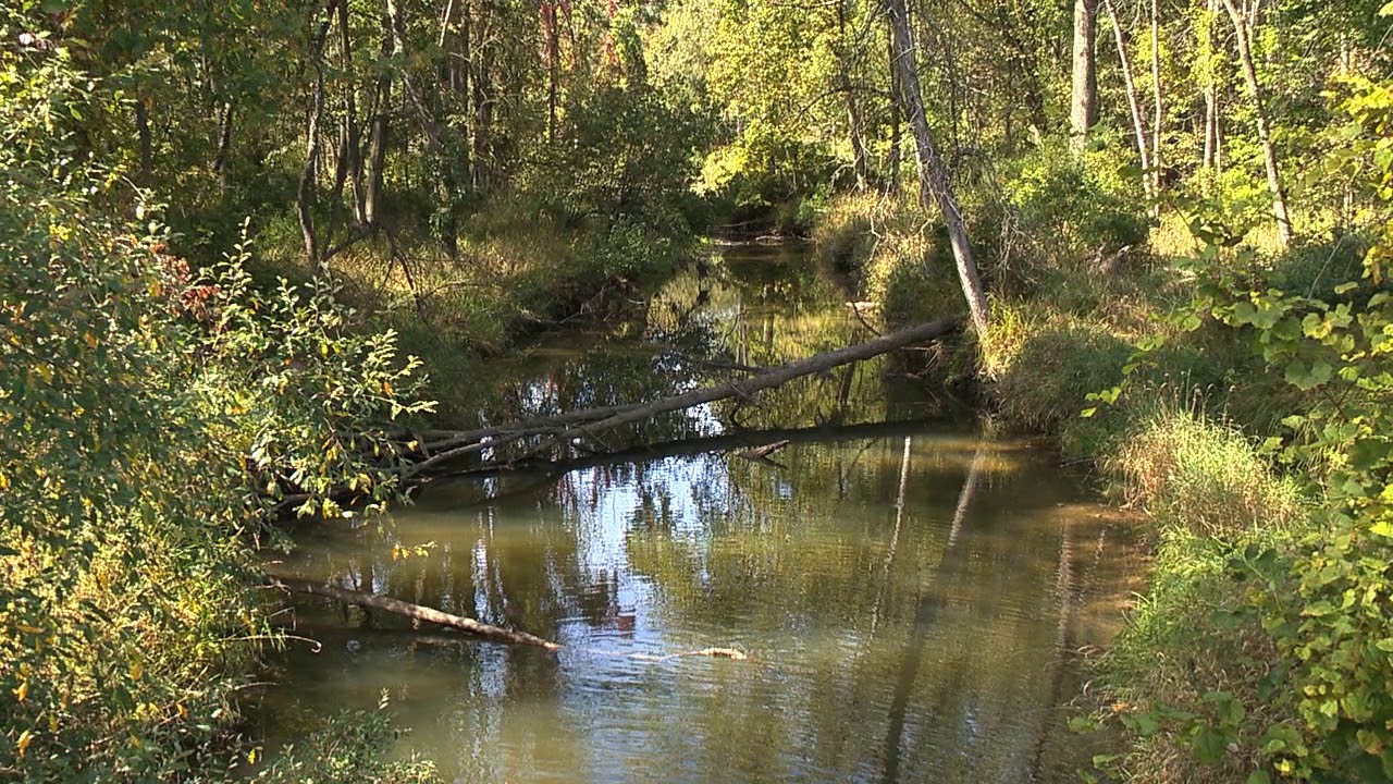 The Genesee County Parks Hogbacks - YouTube