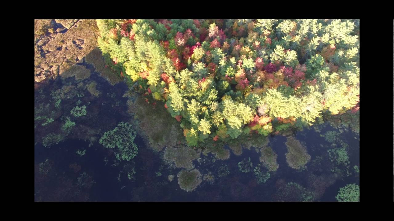 Fall at Cascade Marsh - YouTube