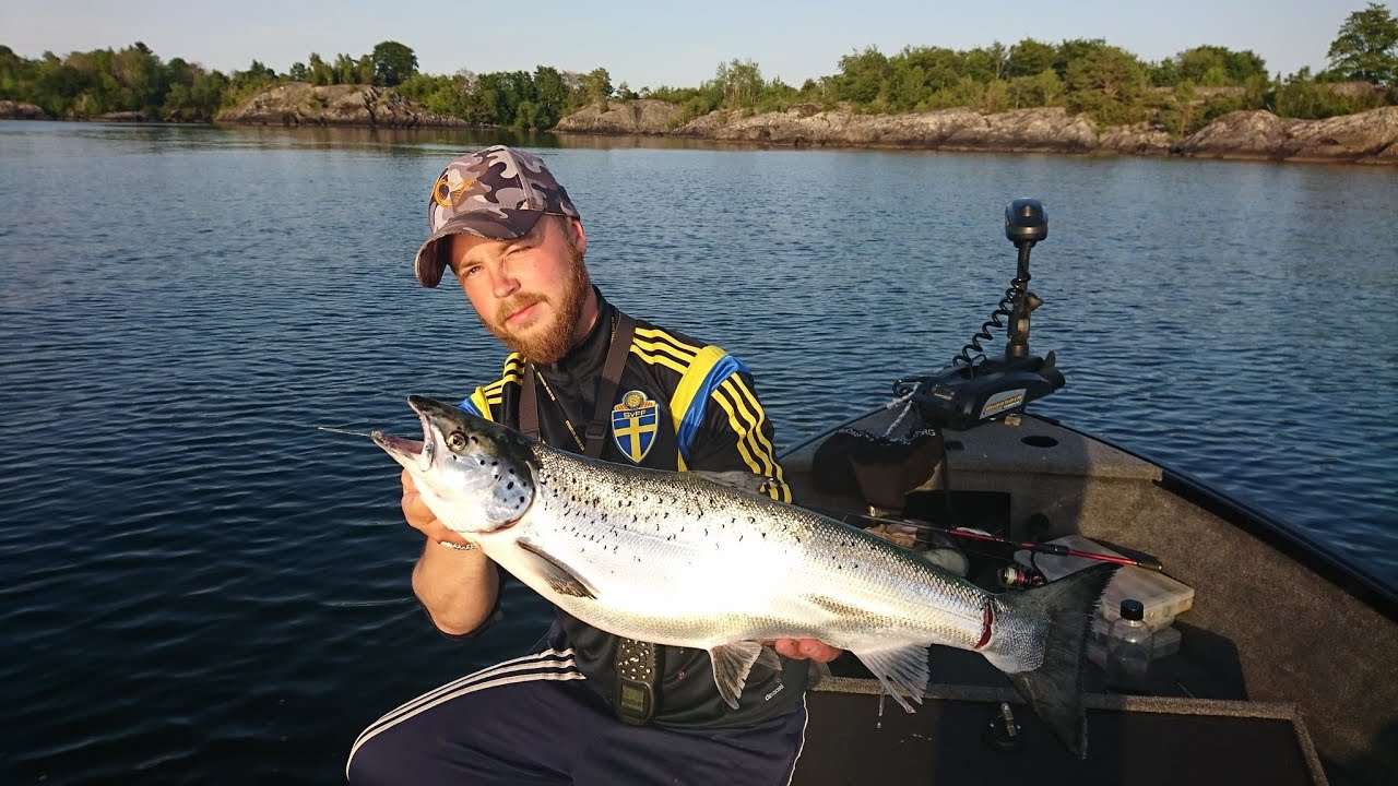 SPEED VERTIKALA LAX, ÖRING OCH RÖDING I VÄTTERN ! MED GALET RESULTAT # ...