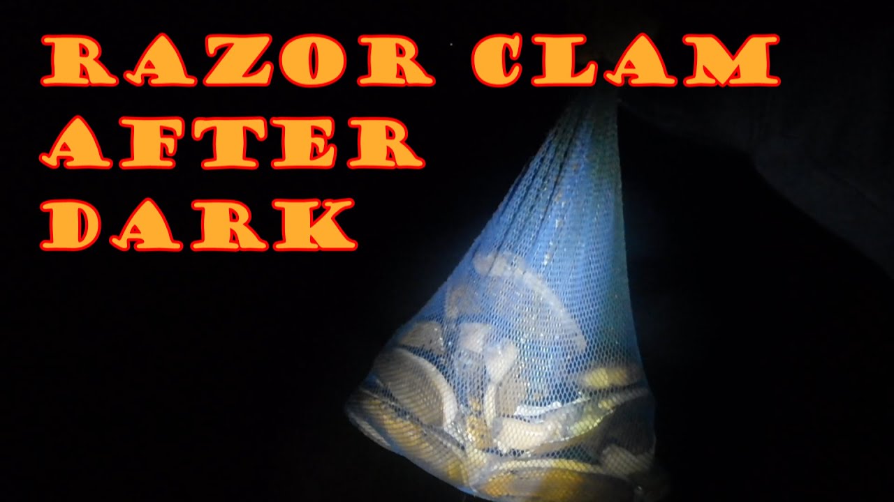 Razor Clamming AFTER DARK - YouTube
