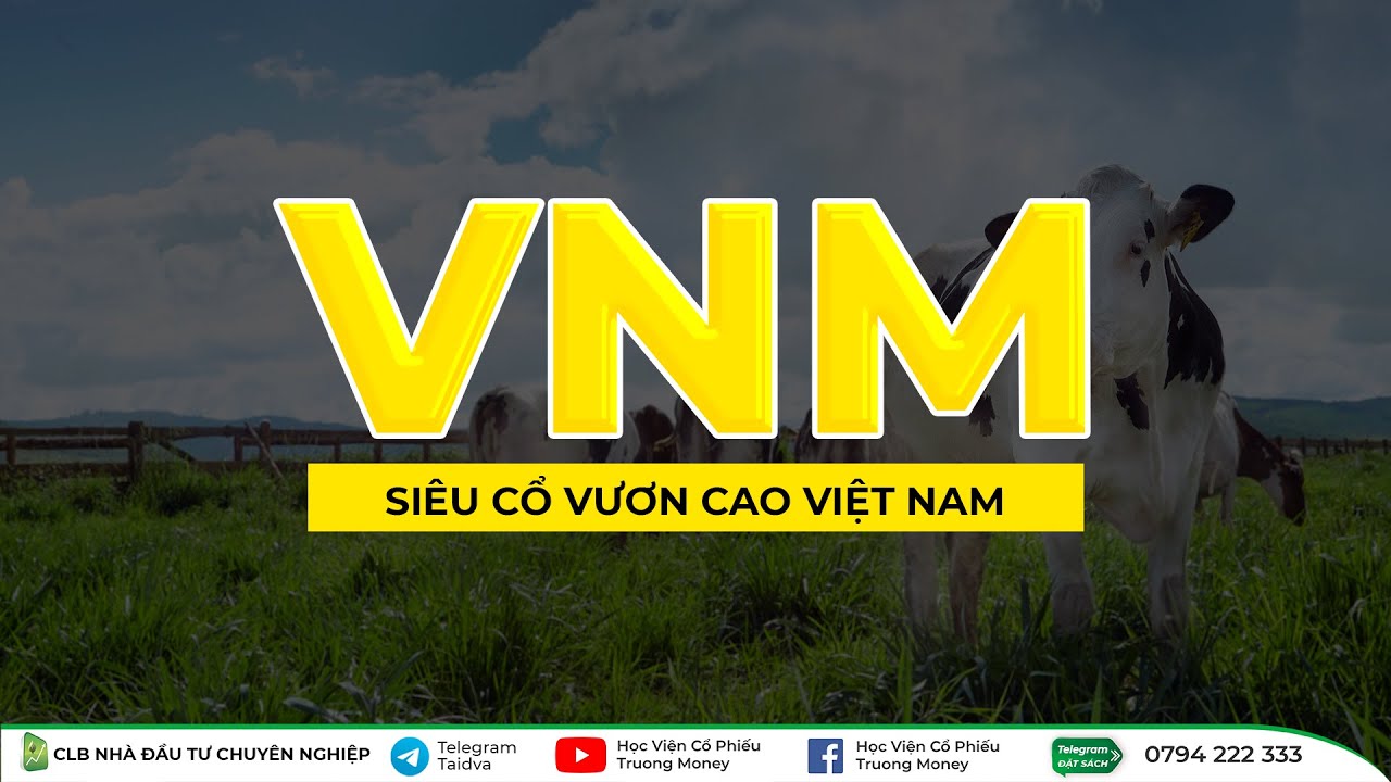 VNM - CTCP Sữa Việt Nam - YouTube