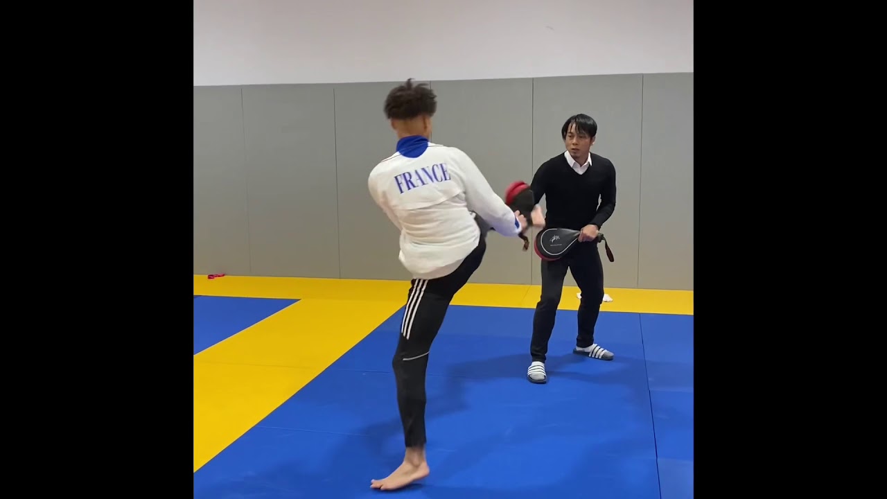 Cyrian Ravet et Althéa Laurin Taekwondo European Championship Bosnia ...