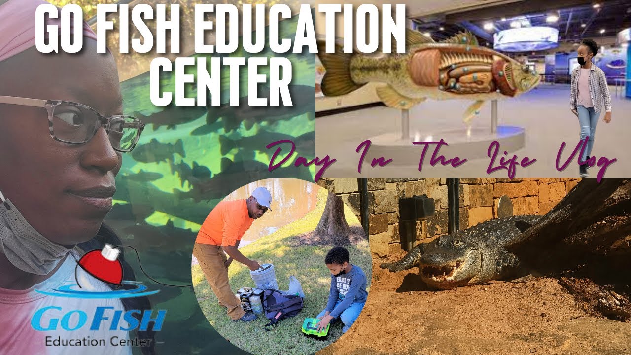 DITL MOM VLOG | Go Fish Education Center,Alligators,Food | Still ...