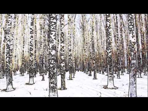 Cinderella -  Long Cold Winter  - D. Videos