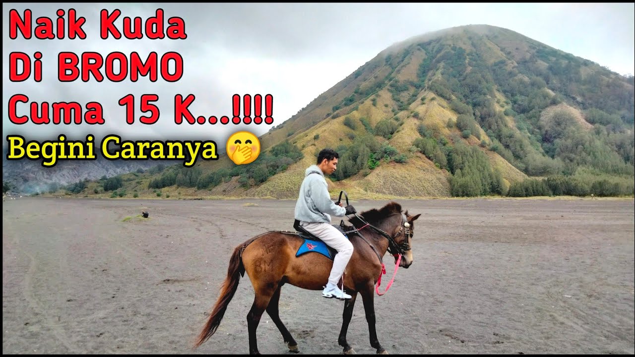 Sewa Kuda Di Gunung Bromo Itu Murah..!!! TAPI... - YouTube