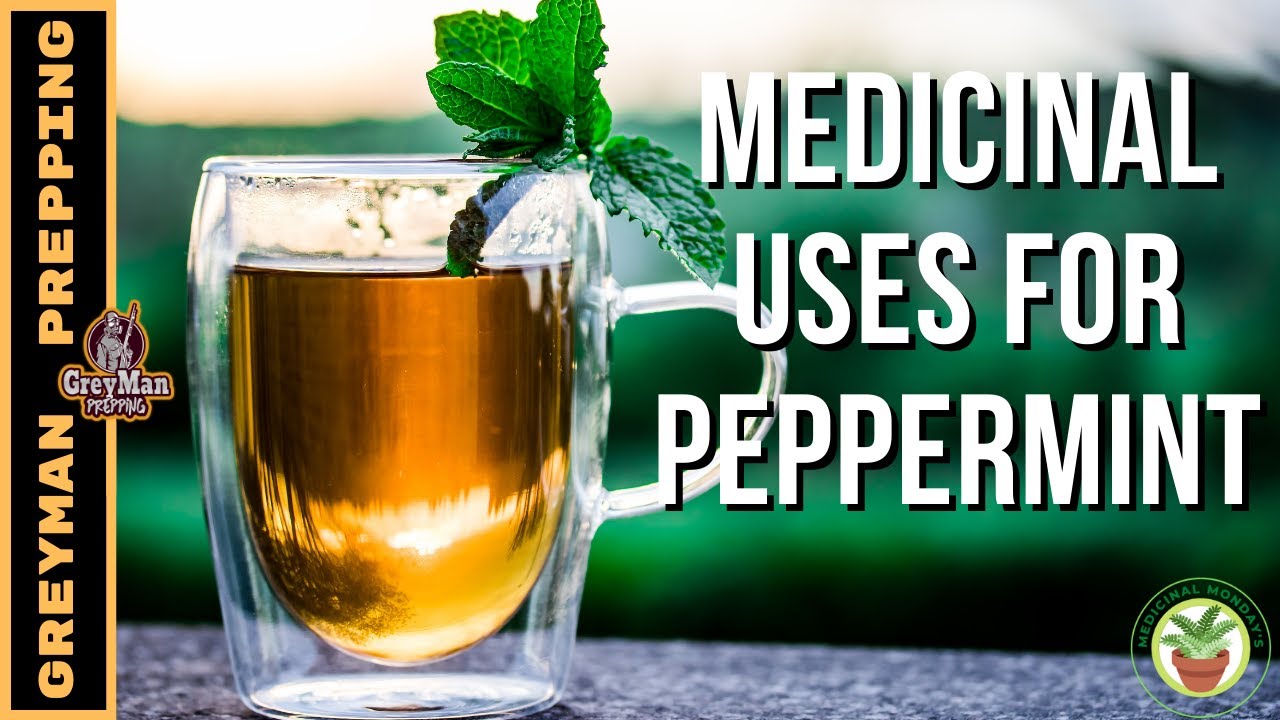 What Are The Medicinal Uses For Peppermint | Benefits of Peppermint Tea ...