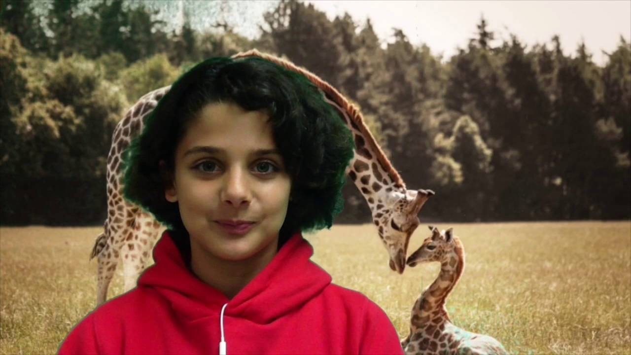 MESMS: The CORE - YouTube