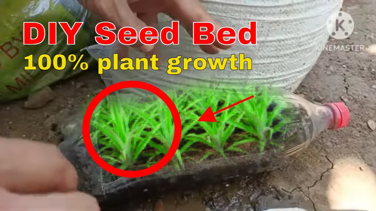 DIY Seedbed for 100% plant seed growth - YouTube